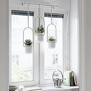 Umbra 1011748-524 Triflora Hanging Planters for Indoor Plants or Herbs, White/Brass,42" Width