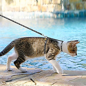 PAWCHIE Cat Harness and Leash Set - Adjustable Soft Escape Proof H-shped Safety Strap with Golden Moon and Star Pattern Glow in The Dark for Pet Cats Outdoor Walking