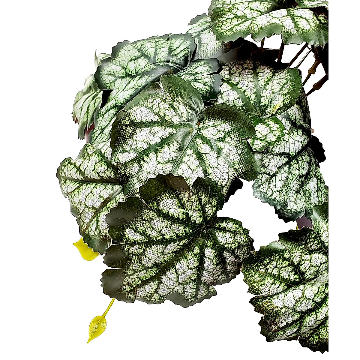 Woyrise Reptile Plants, Terrarium Hanging Plants Vines for Reptile Tank, Amphibian Habitat Leaves Decor with Suction Cups for Bearded Dragon Lizard Snake Gecko Frog Hermit Crab - 2Pack Green Heuchera