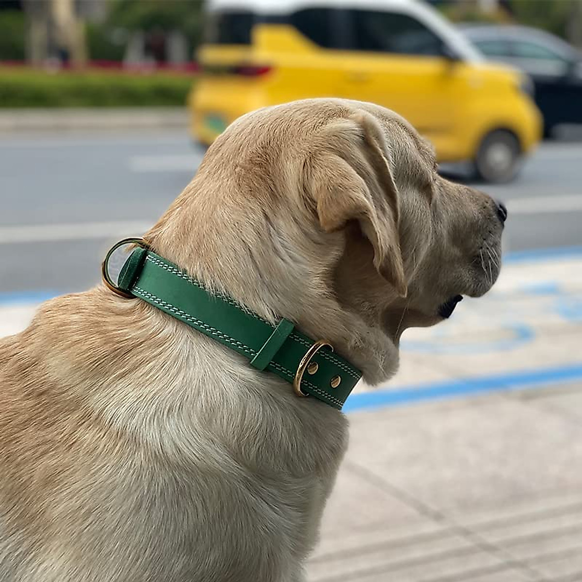 Leather Dog Collar for Medium Dogs with Braided Leather Dog Leash 4 Foot x 5/8"