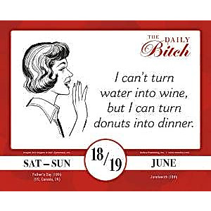 Daily Bitch Calendar 2022 DAILY Bitch Page-A-Day Daily Boxed / DESK Calendar