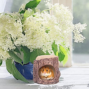 YARDWE Summer Squirrel Nest Ceramic Hamster Hideout Hamster House Chinchilla Mini Hut Small Animal Hideout Cave Critter Bath for Chinchilla Hamster Rat Gerbils Chinchilla Mini Hut