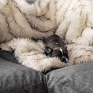 PupProtector Waterproof Throw Blanket for Dogs and Cats, Pet Blanket Cover For Couches, Sofas, Beds, Car Seats, Furniture, Calming Soft Faux Fur, White with Brown Accents, Original (60" L x 50" W)