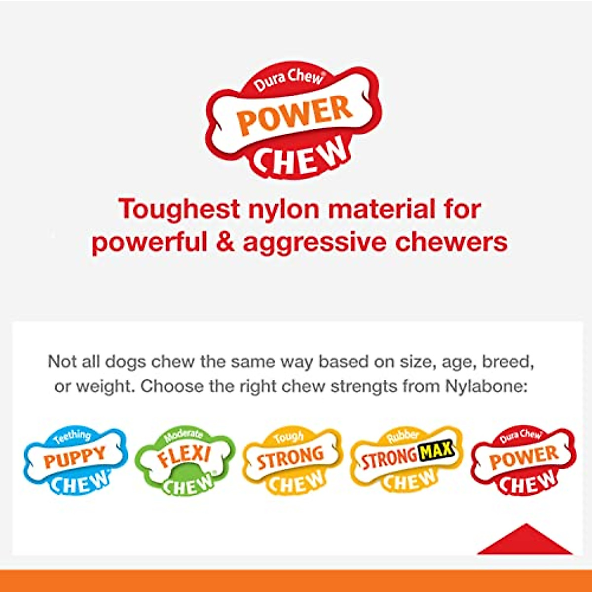 Nylabone Power Chew Ring Bone Chew Toy for Dogs X-Small - Up to 15 lbs.