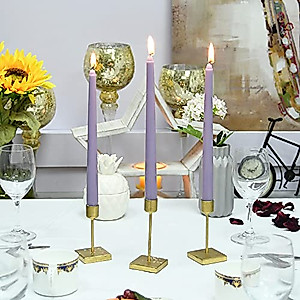 Zest Candle 12-Piece Taper Candles, 10-Inch, Lavender