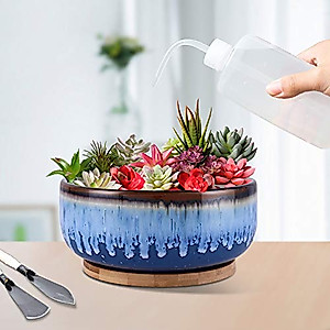 EPFamily 8 Inch Succulent Planter Pot with Drainag and Saucer Shallow Bonsai Pot for Indoor Plants Blue