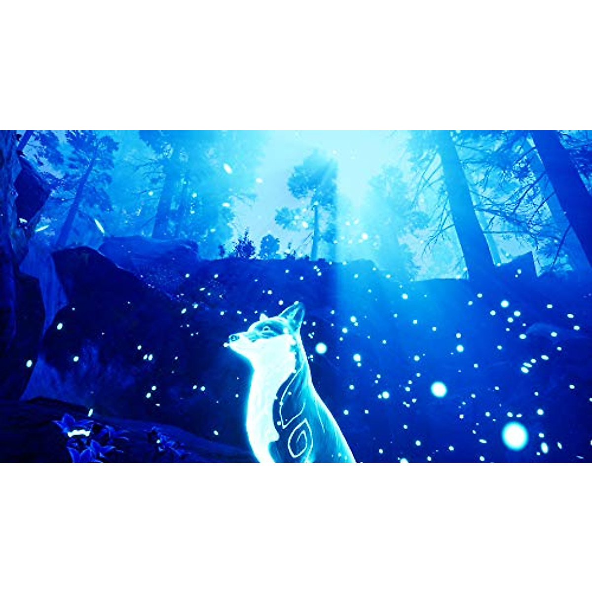 Spirit of The North (PS4)