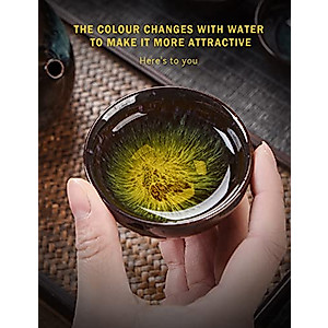 VotraSant Chinese Tea Set, Portable Teapot Set with 1 Teapot, 6 Tea Cups, 1 Gongdao Mug, 1 Tea Filters, Portable All in One Gift Box for Travel,Home,Gifting,Outdoor and Office