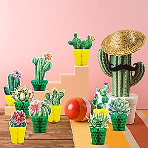 Whaline 10Pcs Cactus Honeycomb Centerpiece Potted Succulent Paper Table Topper Rustic Bloom Theme Summer Party Table Decoration for Birthday Hawaiian Luau Baby Shower Photography