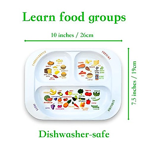 j&m Divided Portion Plate (4 Pack), Sections for Kids & Fussy Eaters, Learn Nutrition, Healthy Eating, Food Groups & Portion Sizes, Child-Friendly Melamine, Dishwasher-Safe