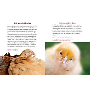 How to Speak Chicken: Why Your Chickens Do What They Do & Say What They Say
