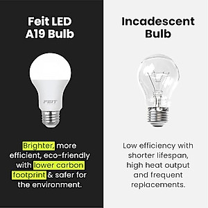 Feit Electric A19 LED Light Bulb, 75W Equivalent, E26 Medium Base, 1100 Lumens, 5000K Daylight White, General Purpose Light Bulbs, 11,000-Hour Lifetime, A1100/850/10KLED/2/6, 12 Pack