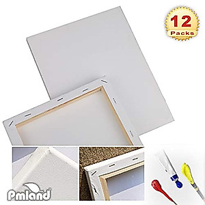 PMLAND Bulk Pack of 12 Stretched Canvas Panels Board for Acrylic or Oil Painting, Artwork, Crafting - 8 x 10 Inch, 5/8 Inch Thick, Individually Wrapped