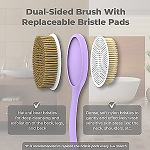Avilana Shower Body Brush with Long Curved Handle, Long Silicone Handle Back Scrubber With Dual-Sided Long Handle Bath Shower Brush with Soft and Stiff Bristles (Long Handle-Dark Gray)