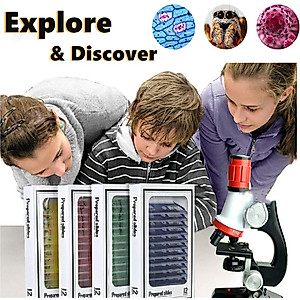 48PCS Kids Plastic Prepared Slides for Microscope of Animals Insects Plants Flowers Sample Specimens for Basic Biological Science Education #81053