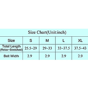 Grace Karin® Women's Fashion Waist Belt Stretch Dress Metal WaistBand L CL409-1