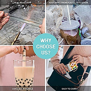 Reusable Glass Straws: 2 Regular Straws + 2 Boba Straws + 2 Wheat Cases + 4 Cleaning Brushes + Pouch, for Hot and Cold Drinks, Portable for Personal Use, Smoothie Bubble Tea, 9 inches (Blue&Green)