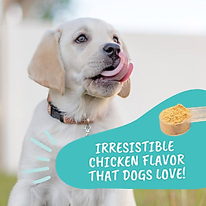 Under The Weather Pet Probiotic Powder for Dogs | Vet Formulated Dog Probiotics Supplement Filled with Good Bacteria | Promotes Healthy Digestion, Appetite, and Strong Immune System| 120 Servings