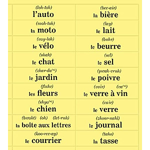 FRENCH in 10 minutes a day