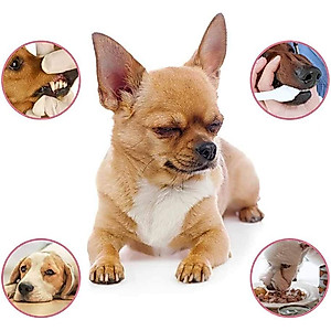 LeMall Petry Oral Spray for Dogs - Petry Teeth Cleaning Spray for Dogs and Cats, Pet Breath Freshener Spray Care Cleaner, Oral Spray for Pets, Dog Dental Spray Reduces Plaque & Tartar Buildup (2pcs)