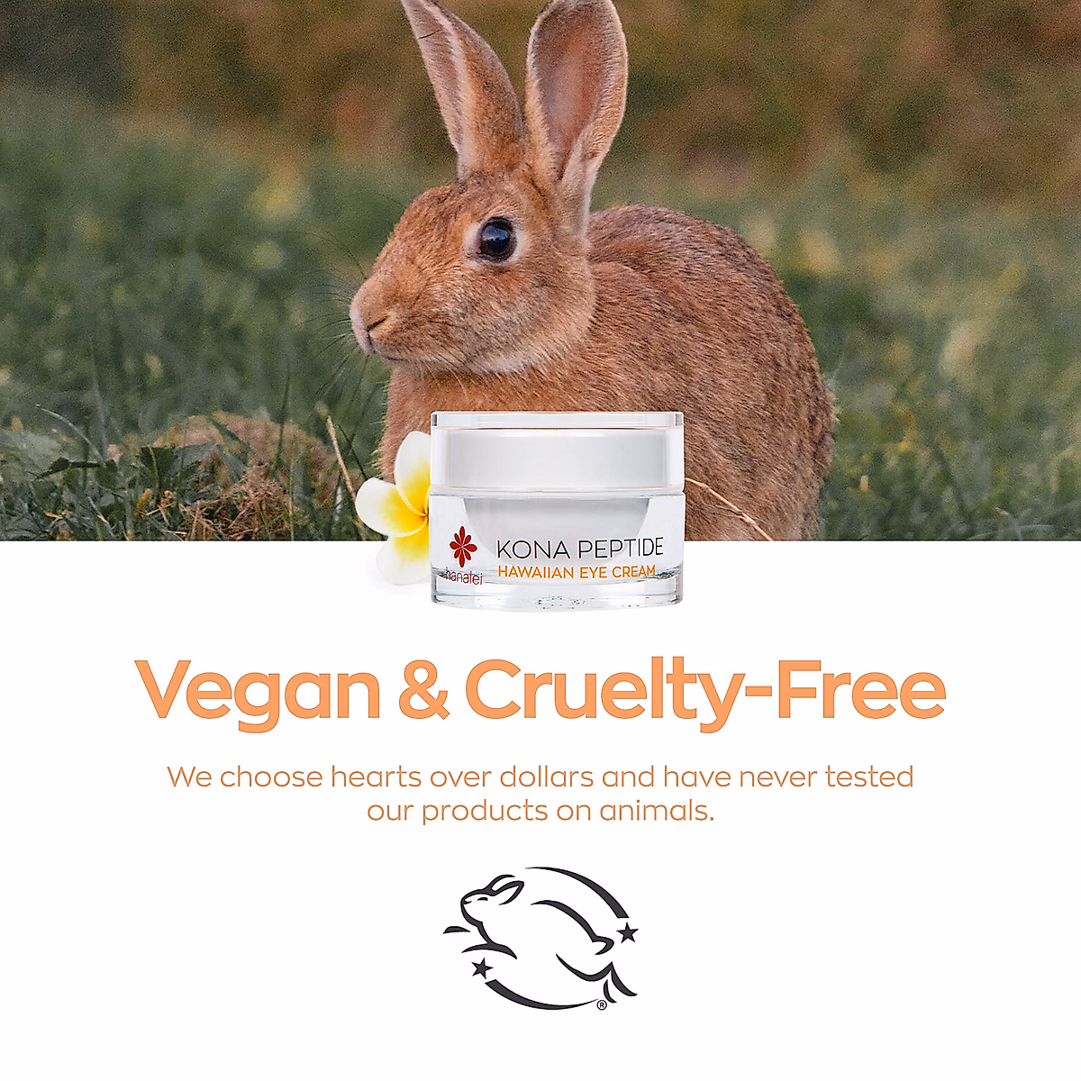 Hanalei Kona Peptide Eye Cream | Minimizes Wrinkles, Puffiness | Hawaiian Botanicals, Caffeine, Peptides | Hydrating Revitalizing Formula | USA Made | Cruelty-Free, Vegan (0.5 oz)