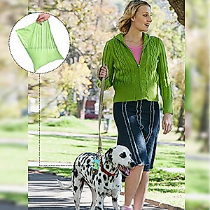 2 Pack Dog Poop Bag Dispenser with Built-in LED Flashlight, Pet Waste Bag Holder for Leash with Carabiner Clip for Lead Leash, 2 Rolls Leak-proof Doggy Waste Bags for Dog Walking, Blue