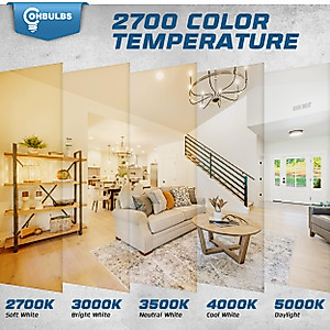 OHLECTRIC Clear T6 Tubular Incandescent Light Bulb | 15 Watt Dimmable Bulb with E12 Candelabra Base | Warm White Color (Pack of 10)