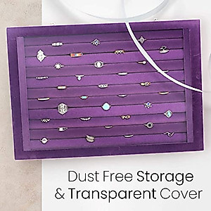 Ring Organizer Display Case ~ 11 Rows Multiple Ring Holder ~ Jewelry Tray Organizer With Studs ~ Ring & Earring Holder Storage Box For Shows With Transparent Lid (Purple)