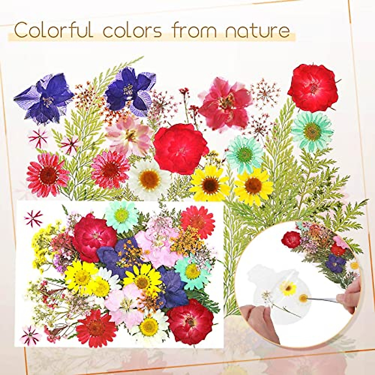 81 Pcs DIY Transparent Dried Flower Bookmark Set Include 20 Clear Bookmarks 40 Dried Flowers 20 Colorful Tassels and Tweezer Handmade Dried Floral Bookmark for Reader School Book Bottle Supplies