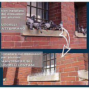 AOKKR Bird Spikes for Pigeon and Small Birds Squirrel Raccoon Cats Crow Bird Defender Spikes for Outside to Keep Birds Away, Anti Bird Stainless Steel Spikes for Railing (21.7ft)