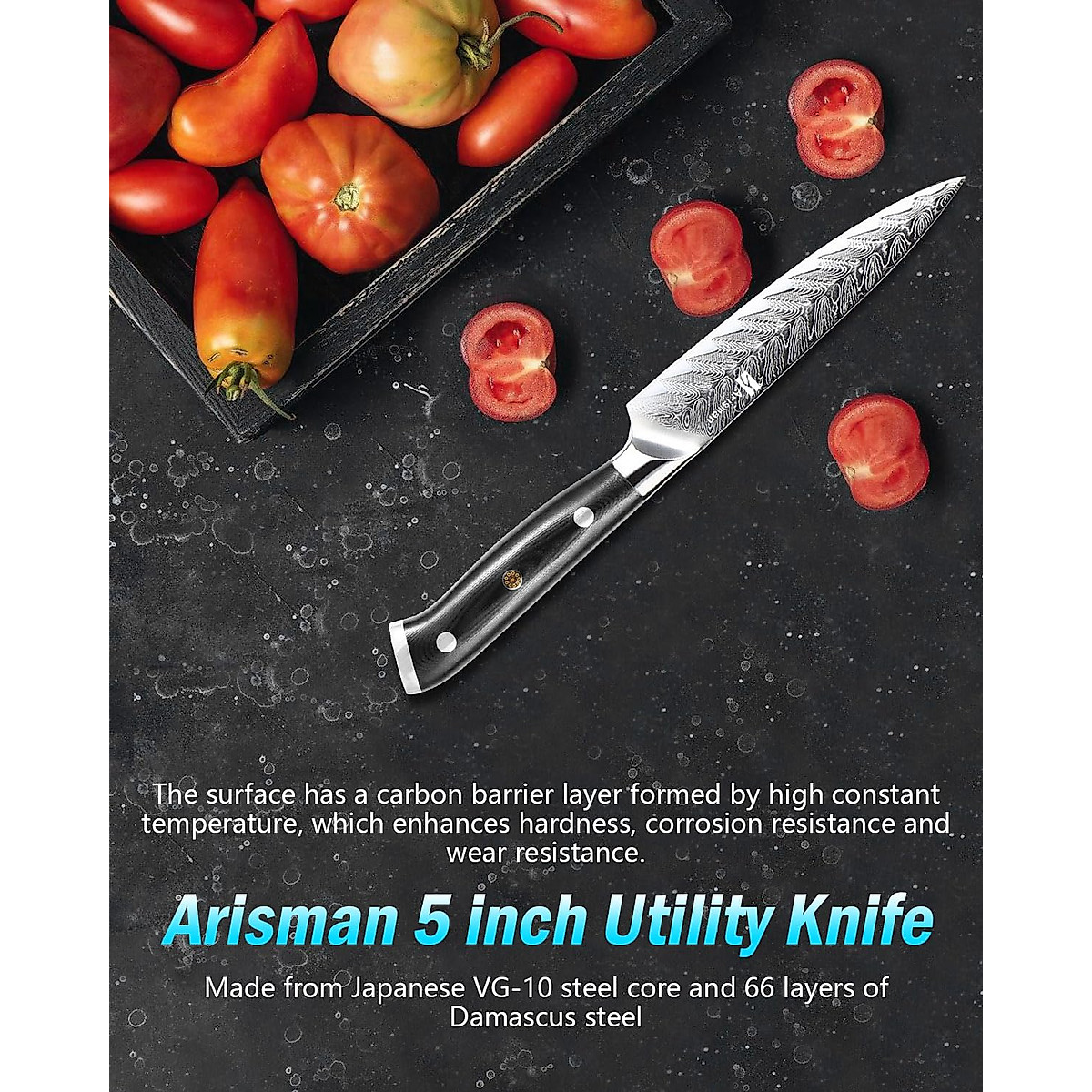 Arisman 5 Inch Utility Knife, Japanese Damascus Steel Paring Knife, Sharp VG10 Fruit Slicing Knife, Small Kitchen Knife with Full Tang Ergonomic G10 Handle