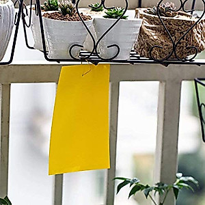 Faicuk 20-Pack Dual-Sided Yellow Sticky Traps for Flying Plant Insect Like Fungus Gnats, Aphids, Whiteflies, Leafminers - (6x8 Inches, Twist Ties Included)