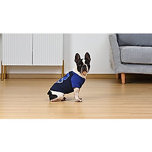 Harry Potter Ravenclaw Pet T-Shirt in Size Extra Large | XL Dog T-Shirt, Harry Potter Dog Shirt | Harry Potter Dog Apparel & Accessories for Hogwarts Houses, Ravenclaw Blue