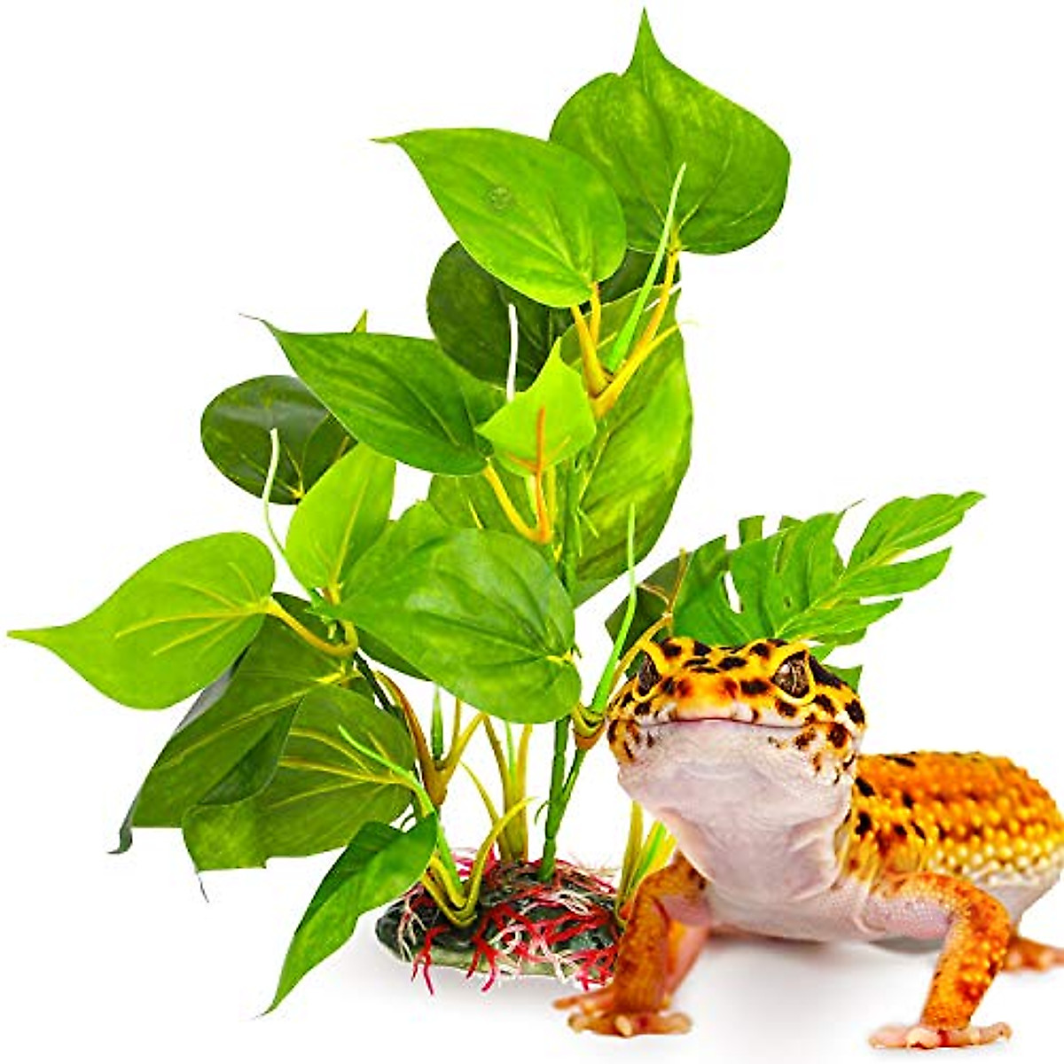 SunGrow Reptile Decor, Artificial Plants, and Climbing Decor for Terrariums - Lifelike Reptile Plant with Resin Base, Perfect Fake Plants for Reptiles, Enhance Your Reptile's Habitat, 1Pc