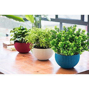 Tommen 8Bundles Artificial Grasses Outdoor Fake GrassesUV Resistant Bud Greenery Shrubs Indoor No Fade Thanksgiving Christmas Wedding Party Home Garden Fireplace Decor, Green