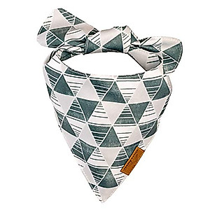 Remy+Roo Dog Bandanas - 4 Pack | Ryan Set | Premium Durable Fabric | Unique Shape | Adjustable Fit | Multiple Sizes Offered (Large)