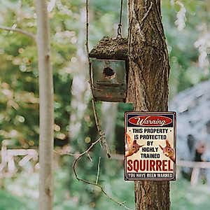 Funny Squirrels Sign, Warning Squirrel Gifts for Squirrel Lovers, Aluminum Sign Rust Free 9" X 11", Pre-Drilled Holes, Weather Resistant