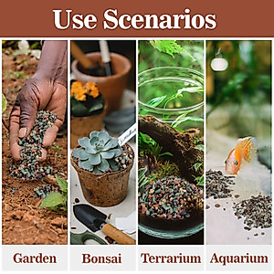 Sukh 300G Horticultural Succulent Soil Mix - Succulent Rocks Bonsai Mix Succulent Potting Mix Lava Rocks Cactus Soil Potting Mix Amendment.