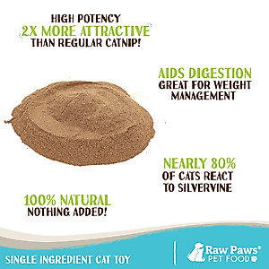 Raw Paws Silvervine Powder, 75 Grams - 2X More Attractive than Catnip for Cats, 100% Silver Vine Gall Fruit Powder, Matatabi Silvervine Cat Toy for Indoor Cats, Catnip Kitten Toys, Silvervine for Cats