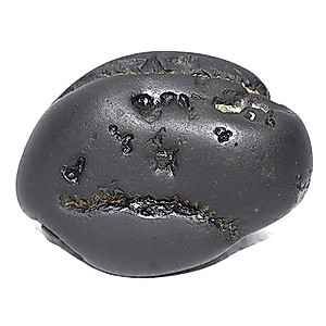 Rudrakshguru Laxmi Narasimha Shaligram - Gandaki River Nepal