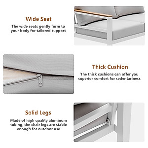 LebenLiebe Patio Furniture Set Outdoor Loveseat Sofa Aluminum 2 Seater Sofa with Beige Cushions All Weather Conversation Set for Garden Balcony, White Frame