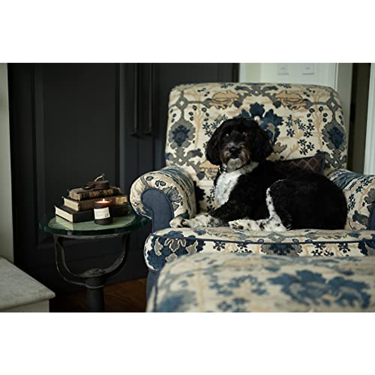 Paddywax Library Collection William Shakespeare Scented Soy Wax Candle, 6.5-Ounce, Paprus, Palm & Eucalyptus