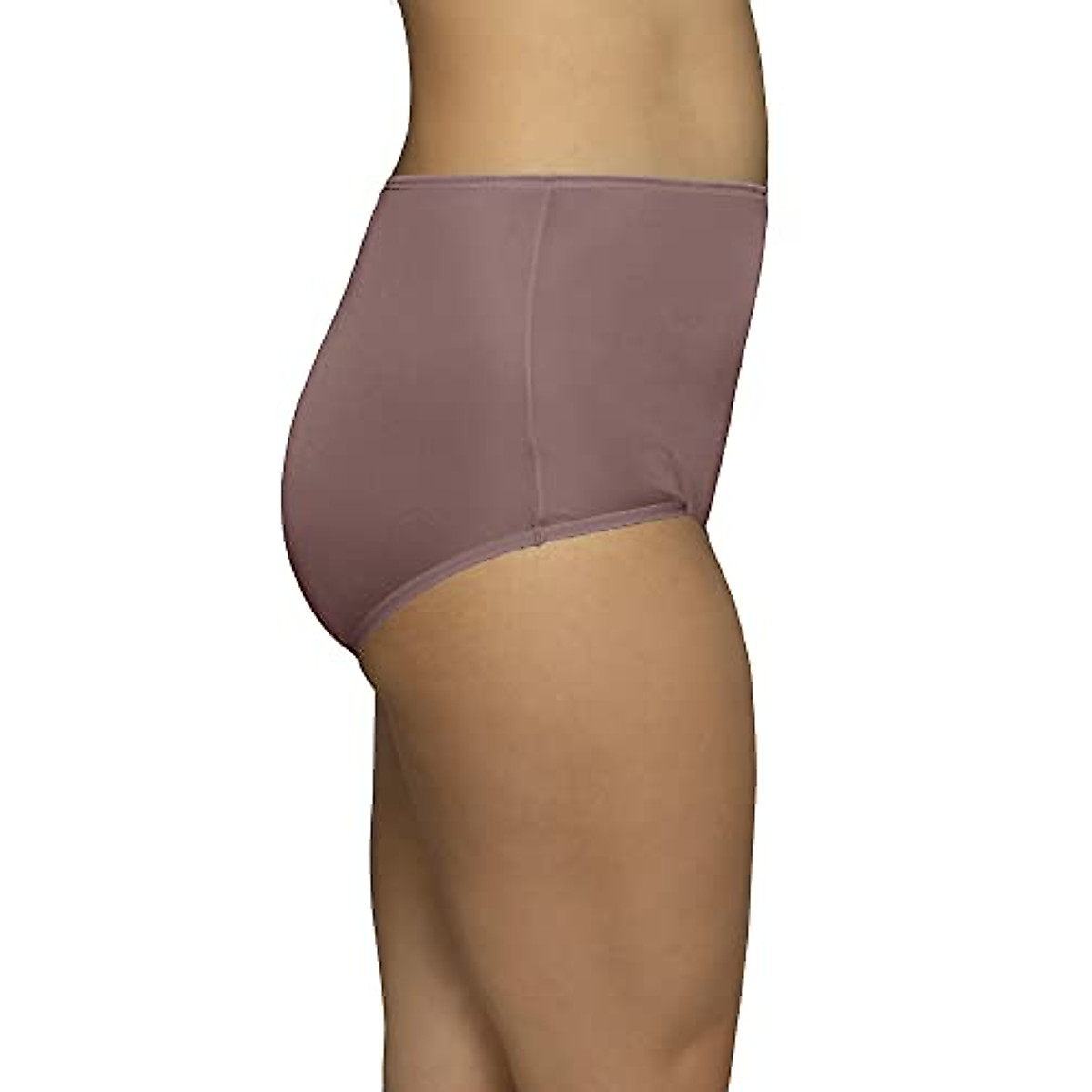 Vanity Fair Women's Perfectly Yours Traditional Nylon Brief Panties, 3 Pack-Maroon/Chocolate/Quartz, 11