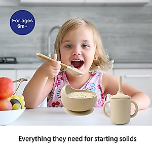 LITTLE RAWR Silicone Baby Feeding Set 14 Pcs,Baby Led Weaning Supplies, Baby Spoons Suction Bowl Divided Plate Bib Cup Finger Brush,First Stage Solid Food Eating Utensils - 6+ Months(Beige)