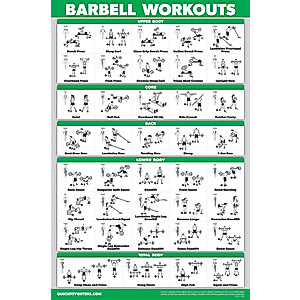 11 Pack - Exercise Poster Set: Dumbbell, Suspension, Kettlebell, Resistance Bands, Stretching, Bodyweight, Barbell, Yoga, Exercise Ball, Muscular System, Medicine Ball (LAMINATED, 18" x 24")