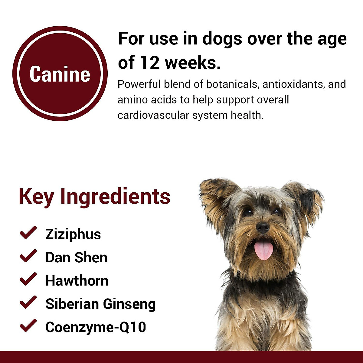 Vet Classics Cardiovascular Support with Coenzyme Q-10 for Dogs, Supports Cardiovascular System with Ziziphus, Dan Shen, Hawthorn, & Siberian Ginseng, 120 Chewable Tablets