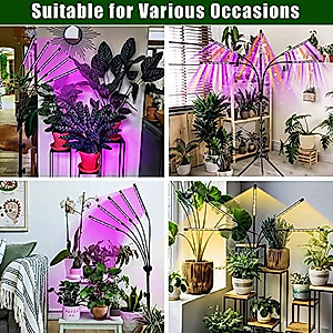 KEELIXIN Grow Lights for Indoor Plants,5 Heads Red Blue White Full Spectrum Plant Light with 15-60" Adjustable Tripod Stand, Indoor Grow Lamp with Remote Control and Auto On/Off Timer Function