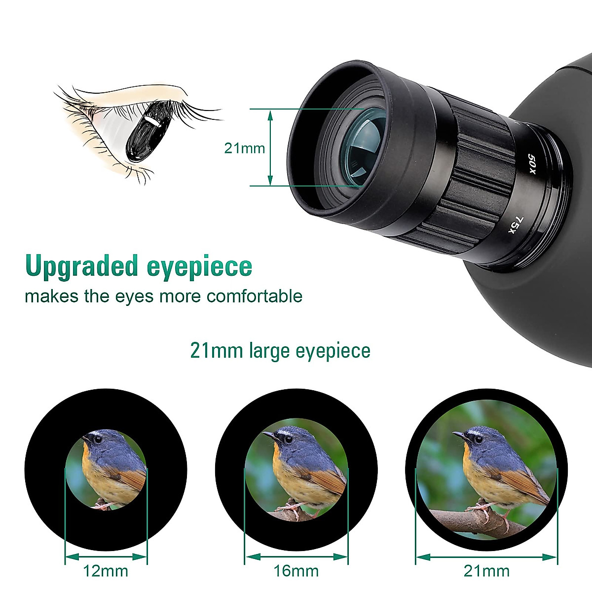 SVBONY SV28 25-75x70 Spotting Scopes with Tripod Bundle with SV146 Tabletop Spotting Scope Tripod for Bird Watching Target Shooting Hunting Wildlife