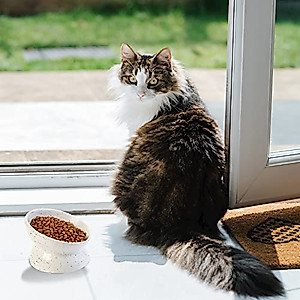 Elevated Cat Bowls Whisker Fatigue,Tilted Raised Cat Food Bowls,Ceramic Cat Bowl Whisker Friendly for Flat Faced Cats and Small Dogs,Anti-Vomiting and Reduce Neck Burden,Dishwasher and Microwave Safe