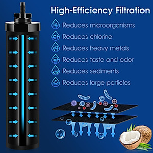 Venusfilter BB9-2 Water Filter Replacement for Berkey Water Filter, Compatible with Purifiers Gravity Filter System,Propur Traveler,King, Big Series and Doulton Super Sterasyl(Black-2 Pack)